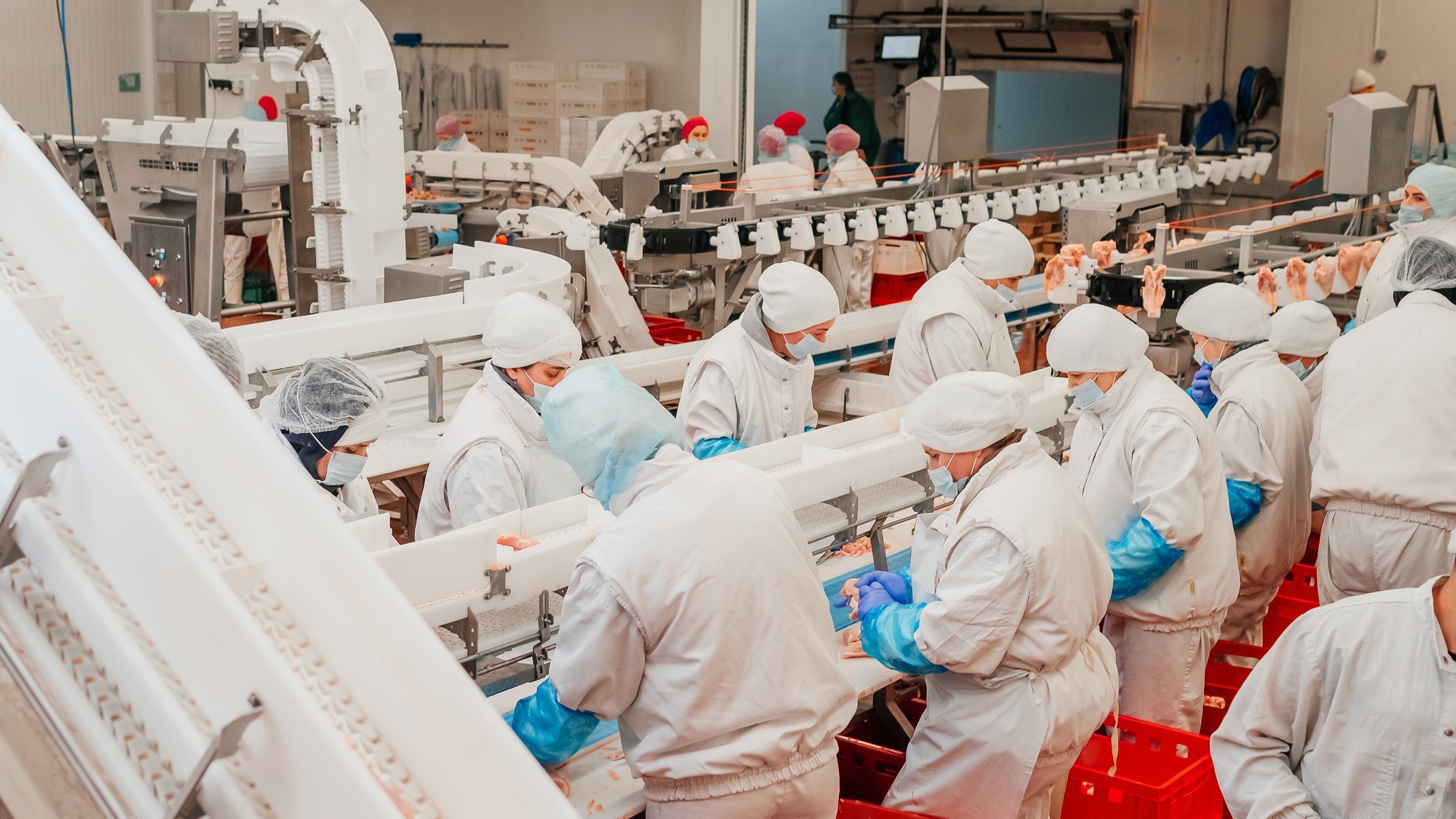 Food Safety Requires Diligence and the Right PPE: From Safety Footwear ...