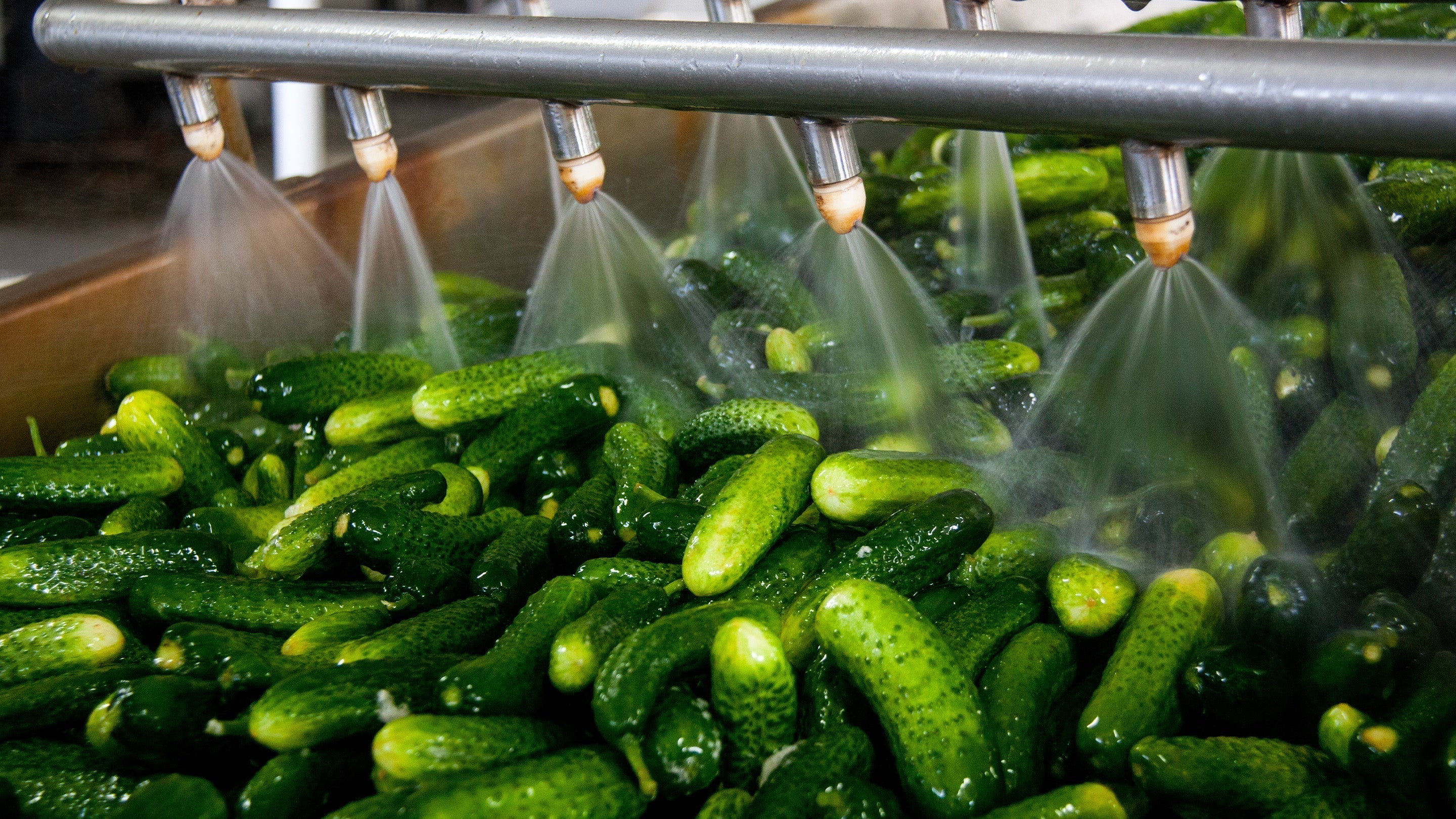 Understanding Food Contamination Risks at Every Stage of the Food Prod ...