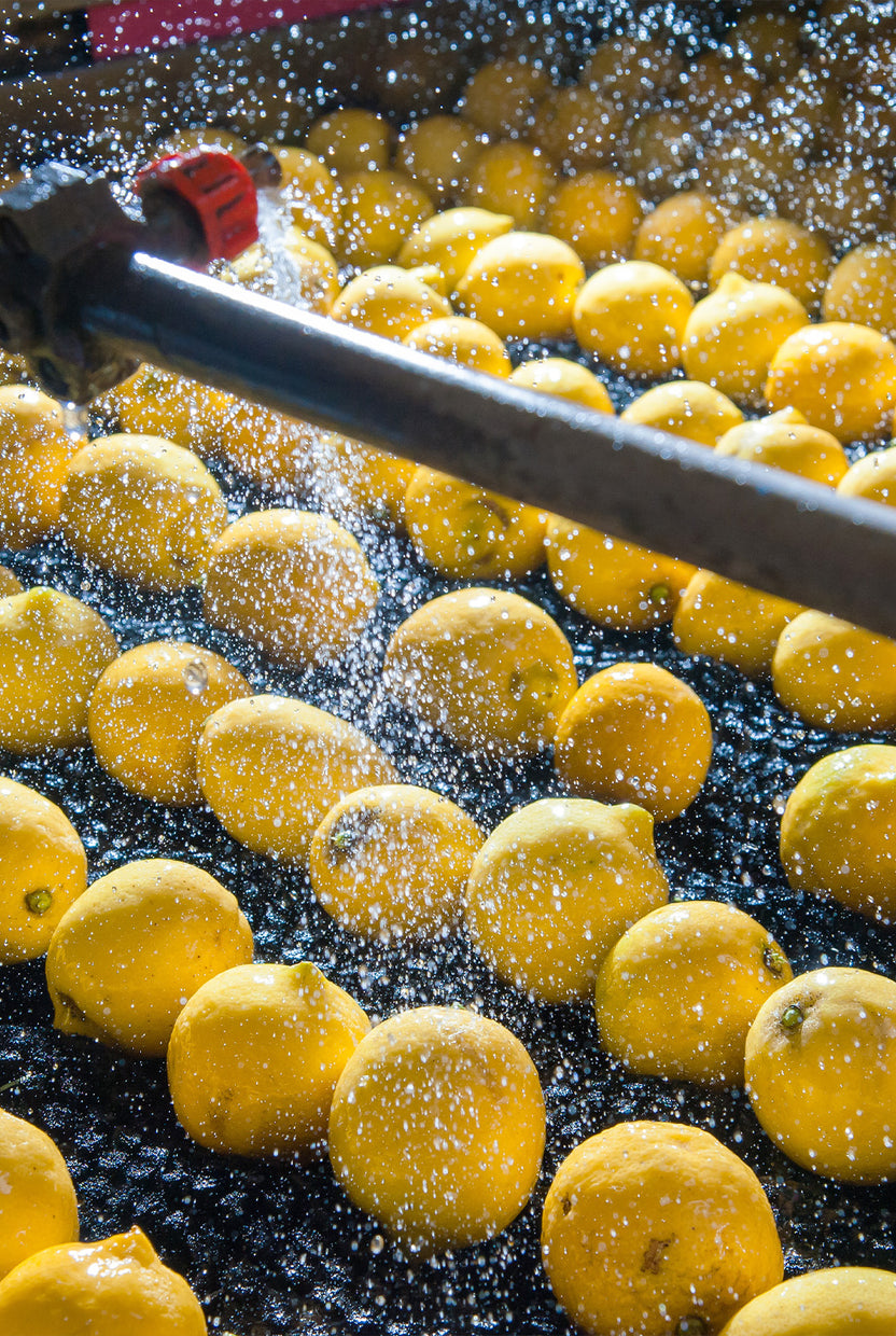 About Techniclean Products Inc